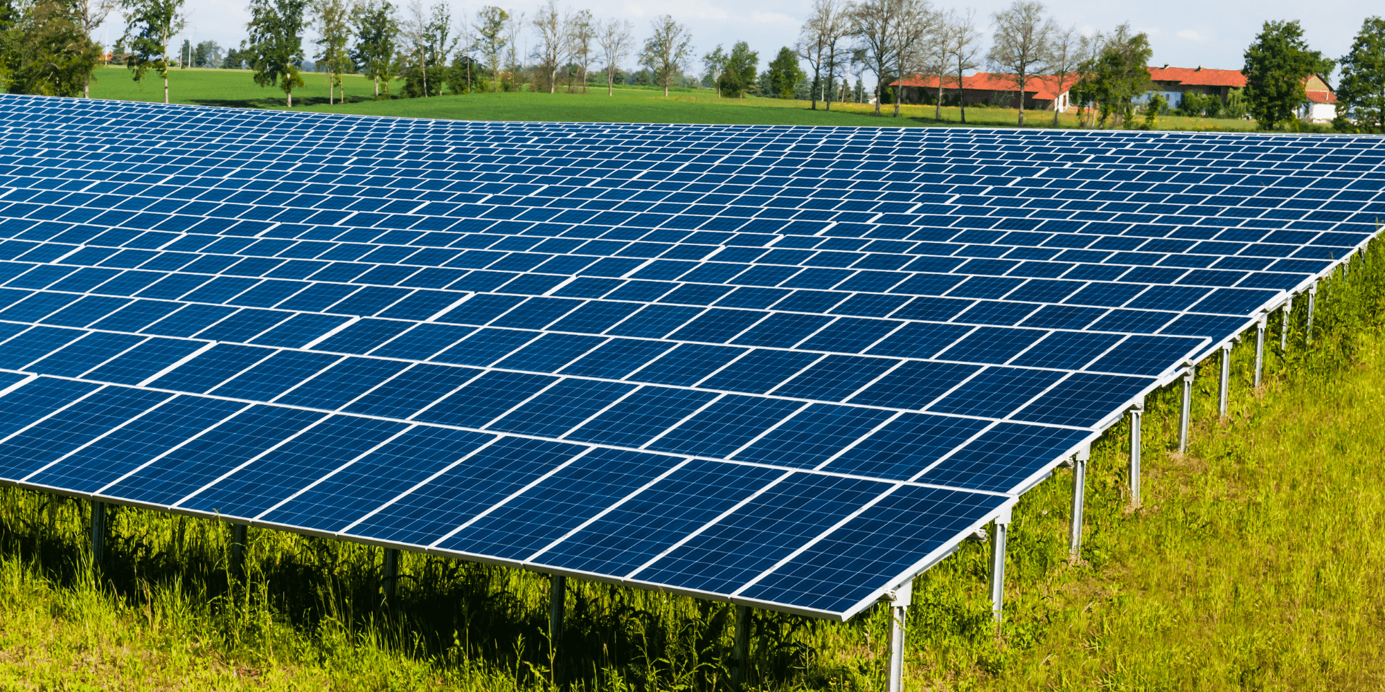 Ground-Mounted vs Roof Solar Panels: Which Option Is Right for You